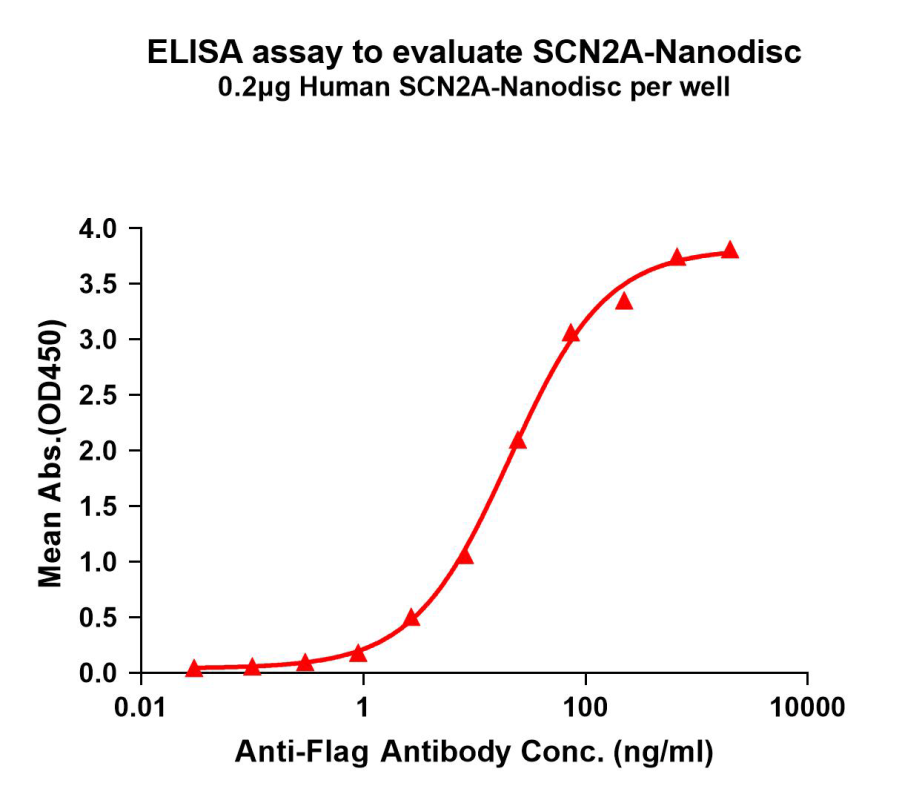 SCN2A: Molecular Mechanisms, NaV1.2 Function, and Precision Therapeutic ...